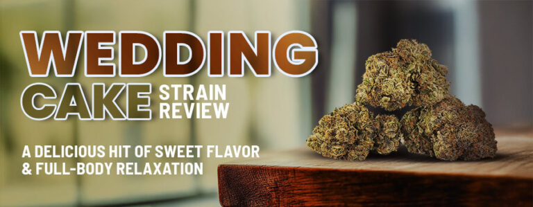 Wedding Cake Strain Guide – Effects & Flavor
