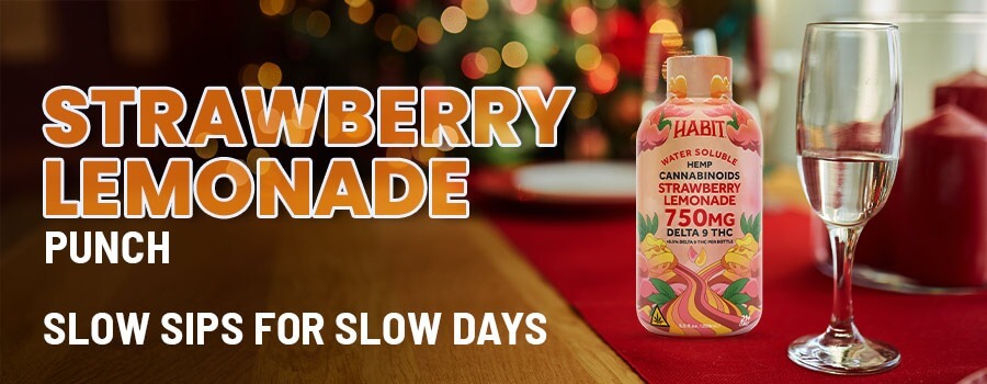 Festive THC Drink Recipes | Easy Holiday Party Sips